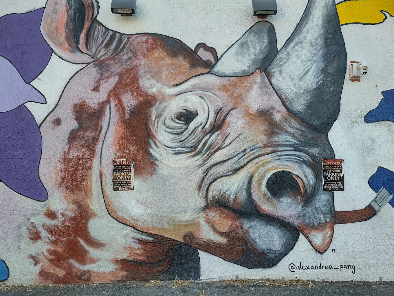 Reasons To Visit Denver's RINO District - Travel Time With Tavares